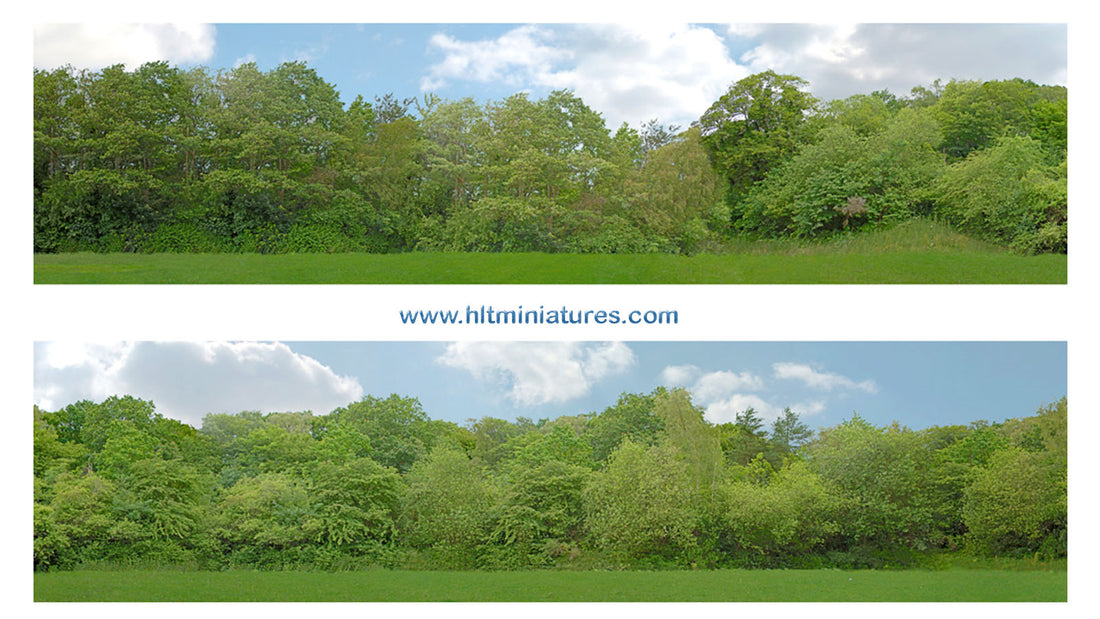 Just Trees 10ft Premium Self-Adhesive Backscene (Cat. P149B/95131 ...